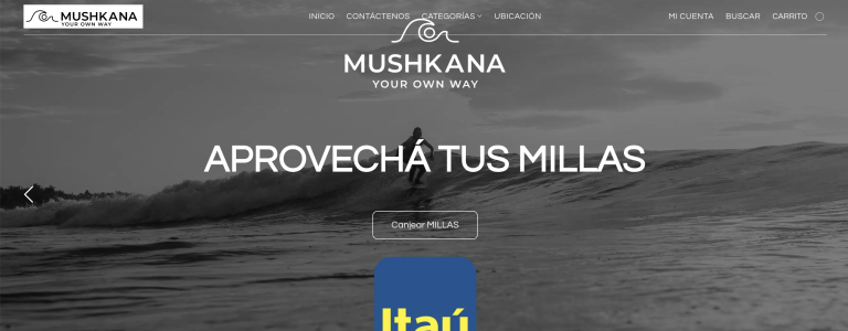 50+ Exemplary Online Stores Built With Ecwid by Lightspeed