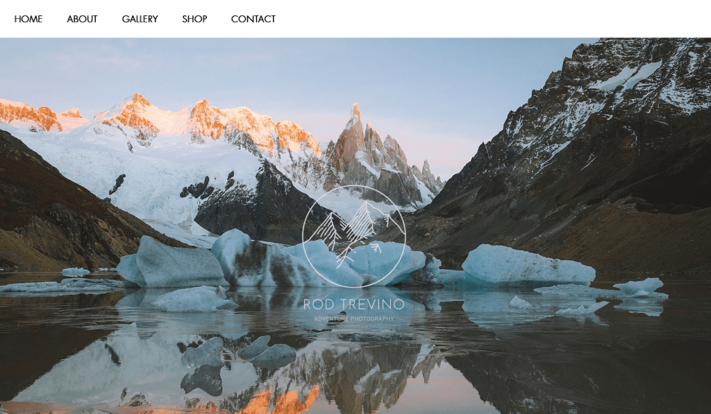 100 Exemplary Online Stores Built With Ecwid E-Commerce