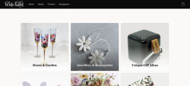 50+ Exemplary Online Stores Built With Ecwid by Lightspeed