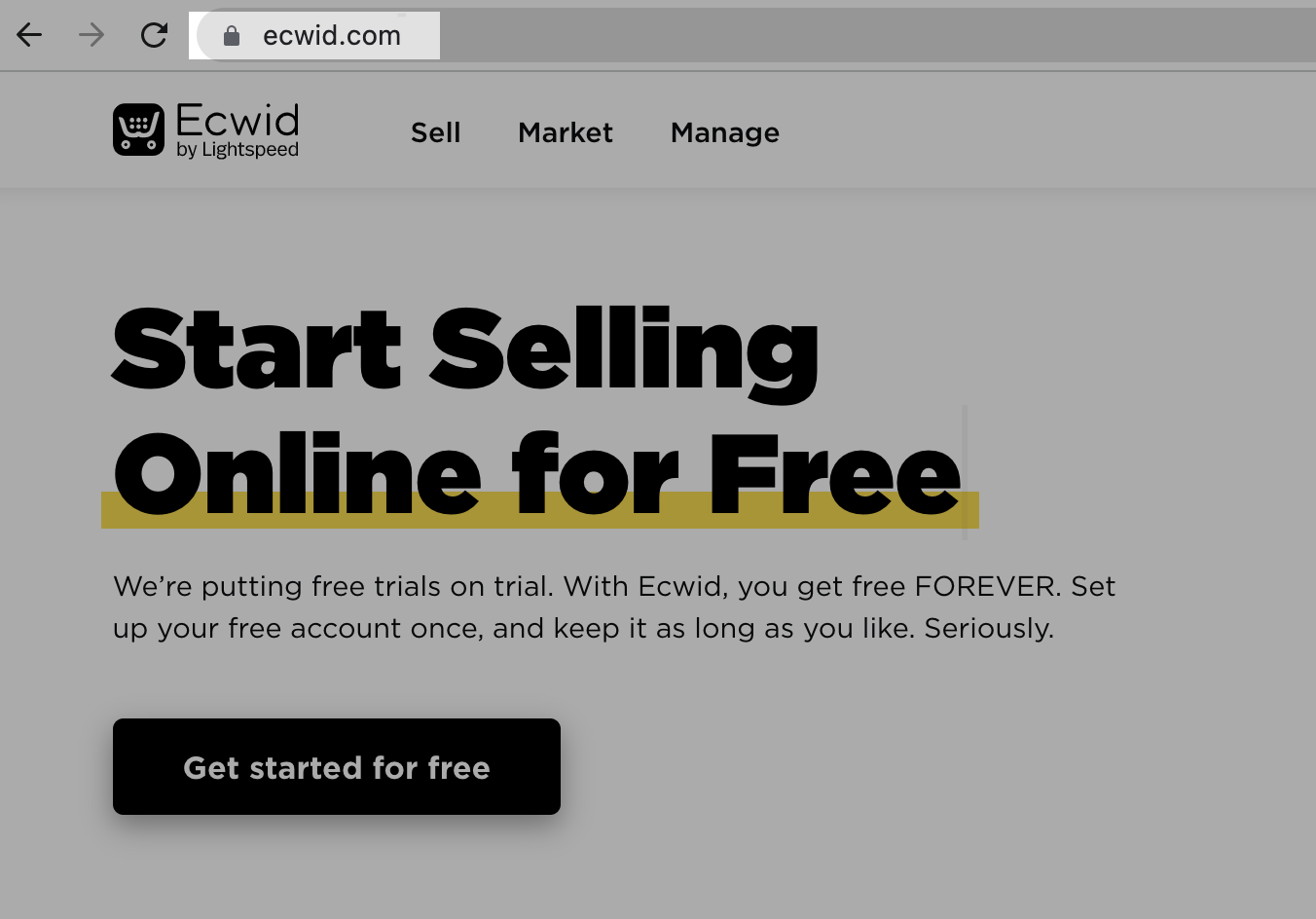 What a Domain Is & Why You Need It for Your Business