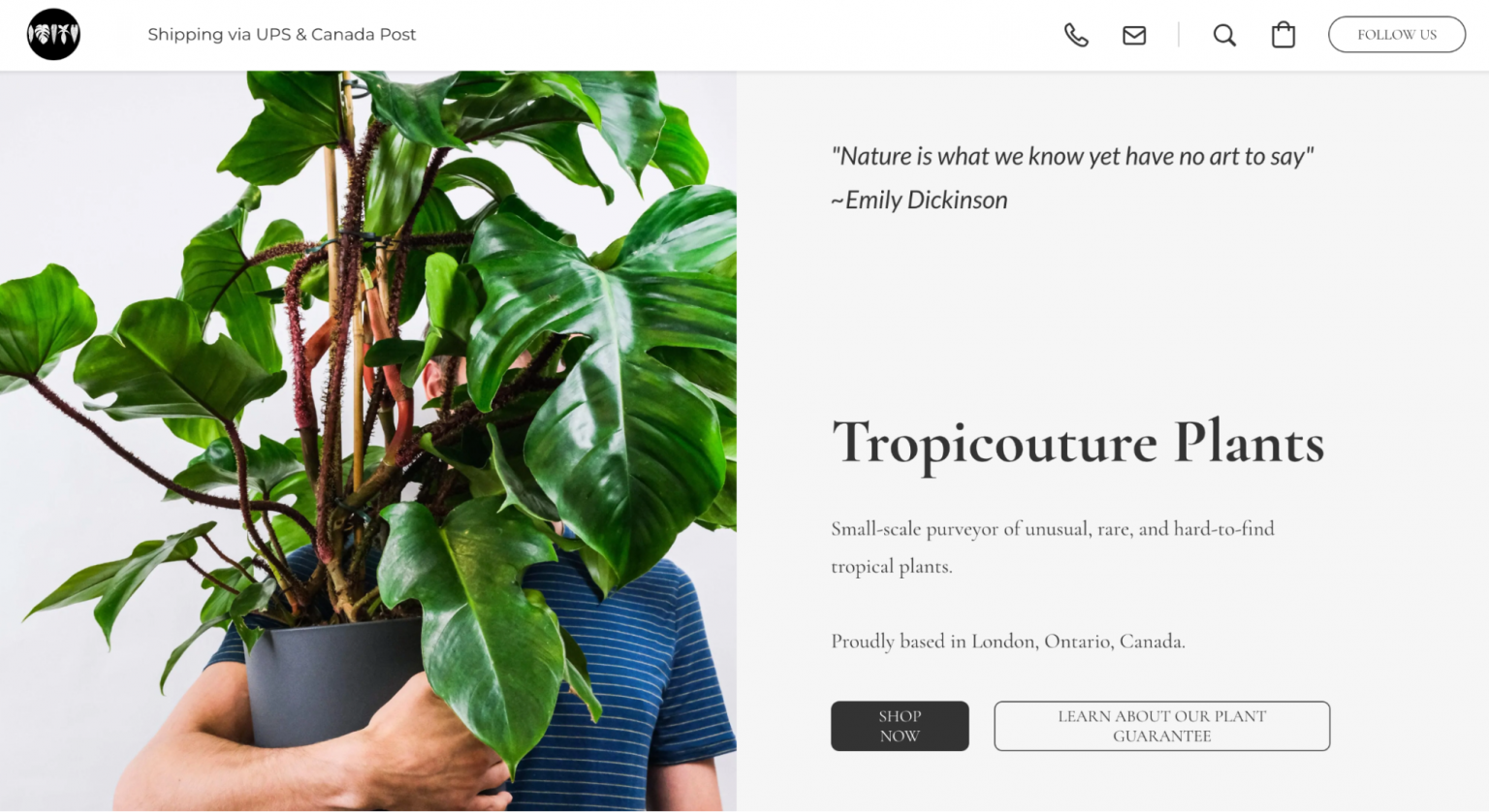 20 Inspiring Ecwid Instant Site Examples