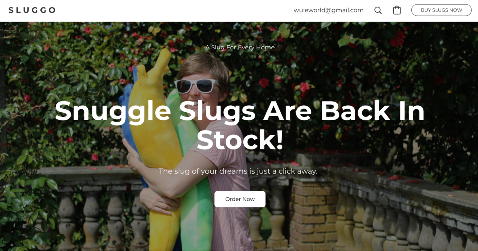 20 Inspiring Ecwid Instant Site Examples