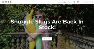 20 Inspiring Ecwid Instant Site Examples