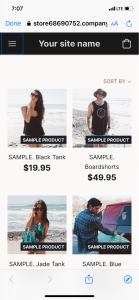 On The Go: How to Create, Manage and Grow an Online Store With Mobile Phone