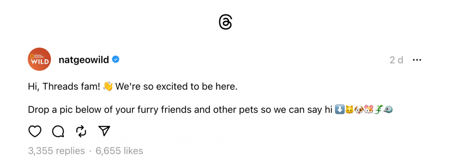 Threads Explained: Connect with Your Customers on a New App