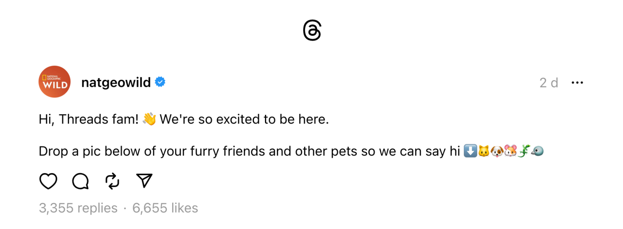 Threads Explained: Connect with Your Customers on a New App